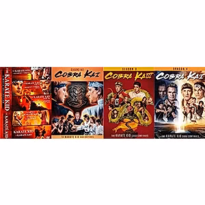 The Karate Kid : 5-Movie Collection / Cobra Kai - Season 1 2 3 & 4 [Martial Arts DVD 4-Pack]