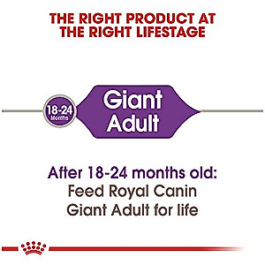 Royal Canin Giant Breed Adult Dry Dog Food, 35 lb bag