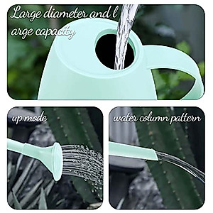 Watering Can for Indoor Outdoor Plants, Modern Small Watering Cans with Removable Nozzle, Long Spout Watering Can for Indoor Bonsai Plants Garden Flowers 1/2 Gallon 1.8L 60OZ