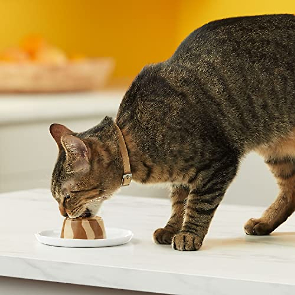 Meow Mix Tasty Layers Swirled Paté Cat Food Variety Pack, 2.75 oz Cup, 12 Pack, 4 Count