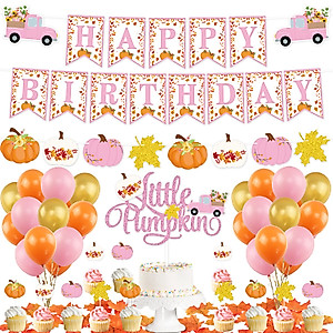 Pink Fall Pumpkin Birthday Party Decorations, Little Pumpkin Birthday Banner Cake Topper Balloons for Girls Fall Birthday Baby Shower Thanksgiving Party