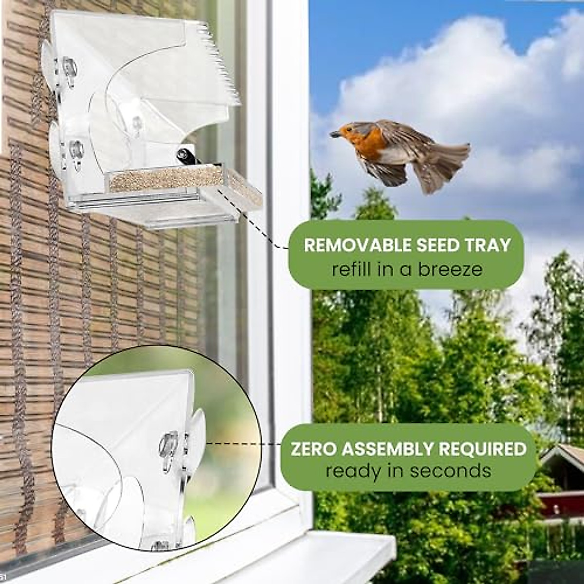 Large Clear Window Bird Feeder - Extended House with Strong Suction Cups - Steel Perch Sliding Feed Seed Tray - See Through Transparent Big Birdhouse - Wild Finch, Cardinal, Blue Jay - Cool Cat Gift