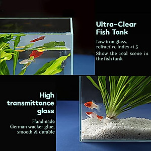 LAQUAL 3 Gallon Ultra Clear Glass Fish Tank, Rimless Low Iron Aquarium for Betta/Nano/Goldfish/Snail/Shrimp, Small Fish Tank with Fish Net & Cleaning Tools