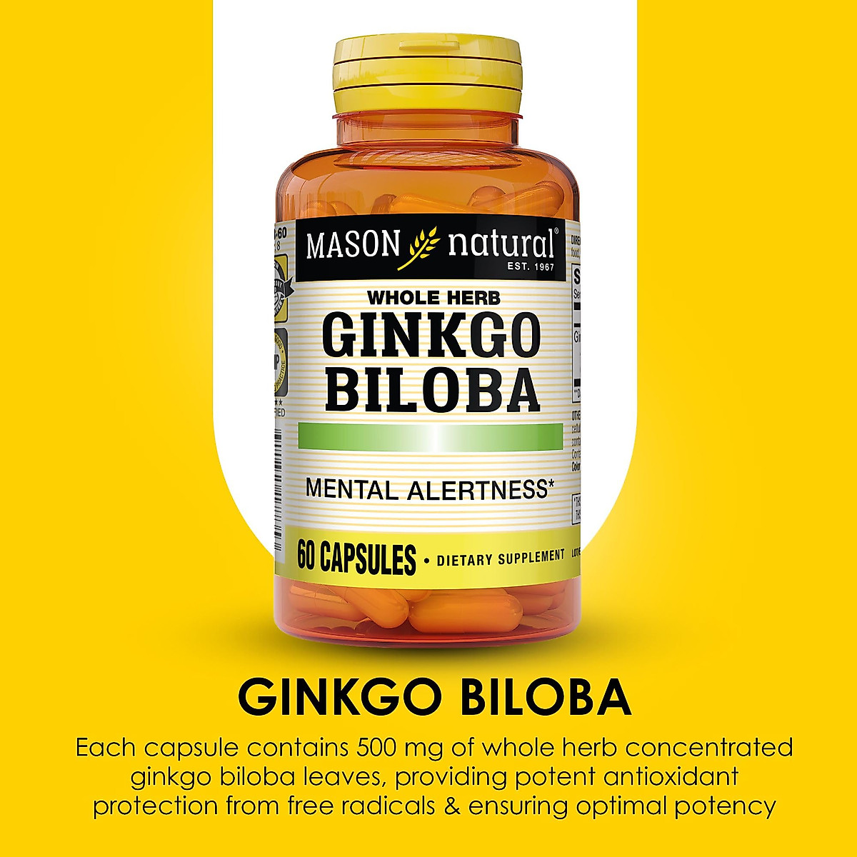 MASON NATURAL Ginkgo Biloba, 3 Month Supply, Helps to Improve Mental Alertness & Support Optimal Brain Function, 60 Capsules (3 Pack)