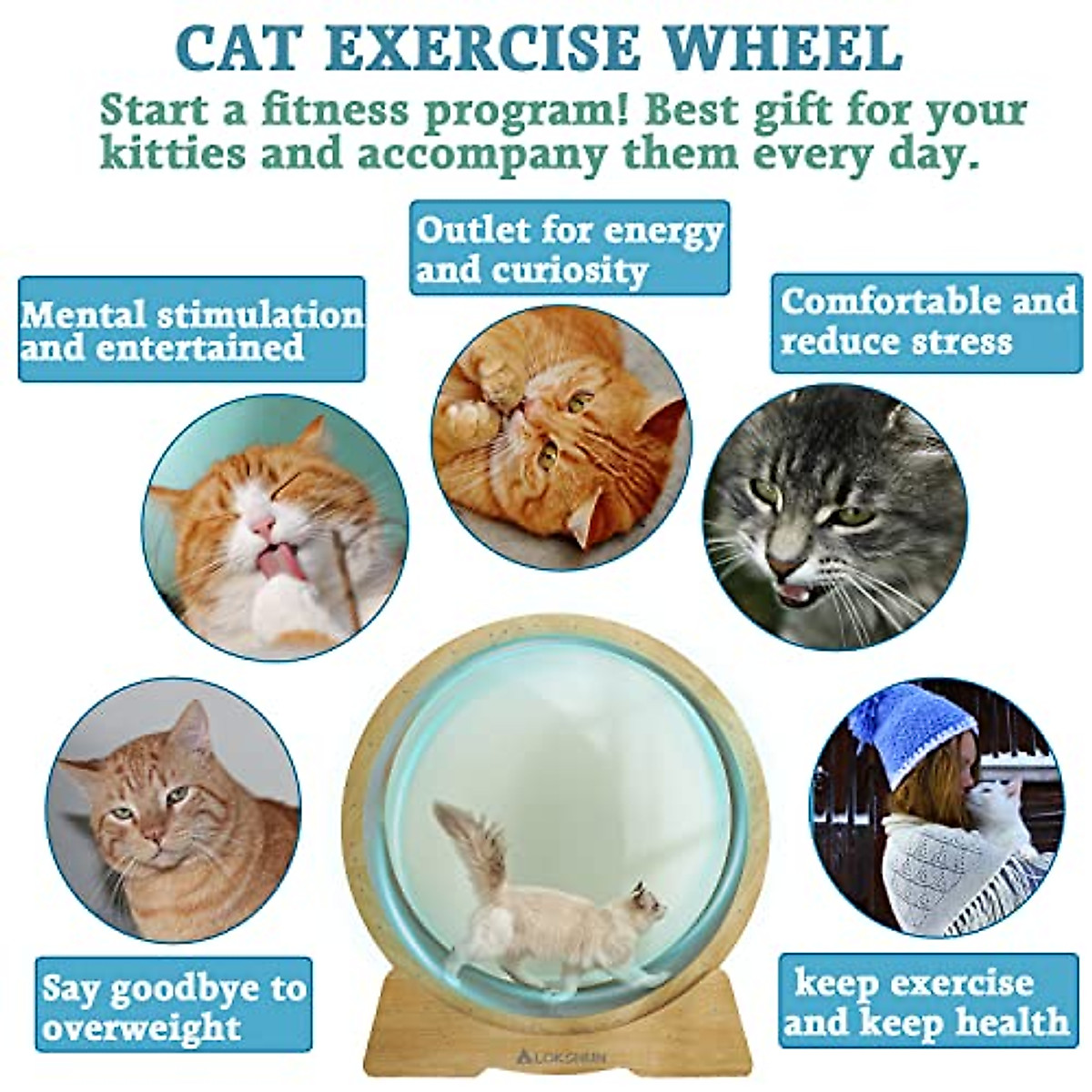 Lokshun Cat Wheel,Cat Exercise Wheel with Lock Pin,Great Weight-Loss Cat Wheel with Carpeted Runway,Large-Sized Cat Exercise Wheel with Noiseless Rollers,42in Large,Cat Teaser Stick Included