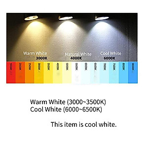 Acogedor 10Pcs 10W LED Cool White SMD Chip COB DC 9-12V for Lamp Flood Light Bulb Replacement (Cool White)