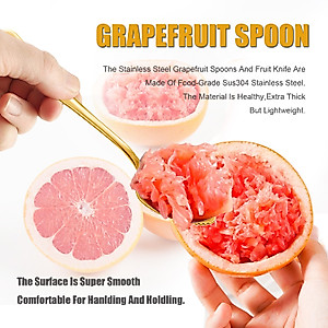 Grapefruit Spoons Serrated Edge Grapefruit Knife Stainless Steel Grapefruit Utensil Tool Dessert Spoons for Citrus Lemon Kiwi Salads Melon Lime Pitaya Apple Fruit Puree (Gold)