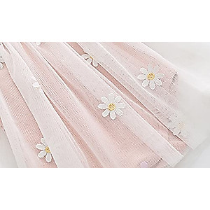 Toddler Baby Girls Dresses Infant Flower Embroidery Tulle Dresses Long Sleeve Newbron Baby Girls Clothes Outfit, 12-18M