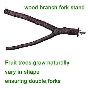 QUMY 2 Pack Parrot Bird Cage Perch Natural Wood Fork Stand Perch Wooden Platform for Parakeets Cockatiels Conures (2Pack)