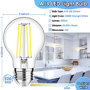 GGOYING 60W Equivalent E26 LED Bulb Dimmable, 850LM LED Edison Bulbs Daylight White 5000K, 6W A19 Filament Light Bulb, Classic Clear Glass, 6-Pack