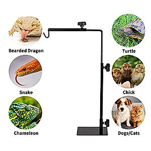 BOEESPAT Reptile Lamp Stand Adjustable Metal Lamp- Light Holder Stand Landing Lamp Stand Bracket for Reptile Glass Terrarium Amphibians and Lizards, Turtles and Snakes and Other Cold-Blooded Animals