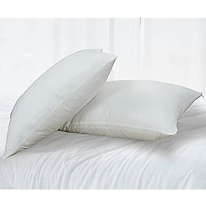 Royale Linens Waterproof Queen Pillow Protector 2 Pack - 20x30 Inches - Pillow Encasement - 100% Microfiber - Zippered Closure - Pillow Case - Smooth & Breathable (Queen, Pack of 2, White)