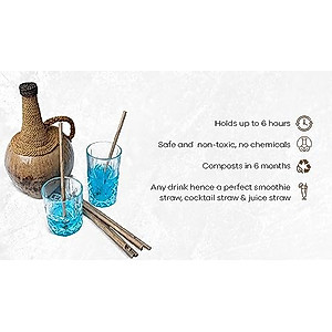 Dtocs 100 Pc. Elegant Bamboo Straw Look Coconut Leaf Disposable Straws | Long Unwrapped Biodegradable Smoothie, Cocktail, Coffee Compostable Straw Alternate to Wooden, Paper, Plastic & Reusable Straws