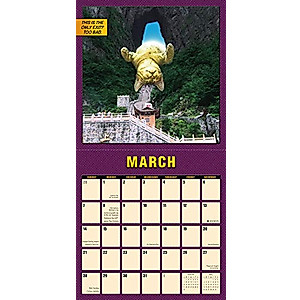 2021 Catzilla 16-Month Wall Calendar