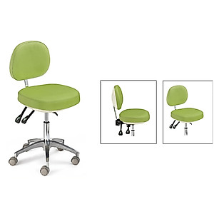 Standard Dental Mobile Chair Adjustable Doctor's Stool Leather Dentist Chair, Color Can Customizable (Color : Green)