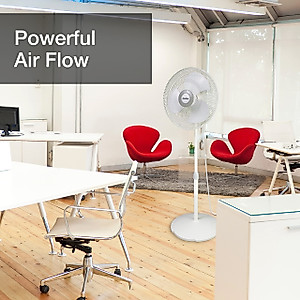 Air King 9126 16-Inch Adjustable Oscillating Pedestal Fan