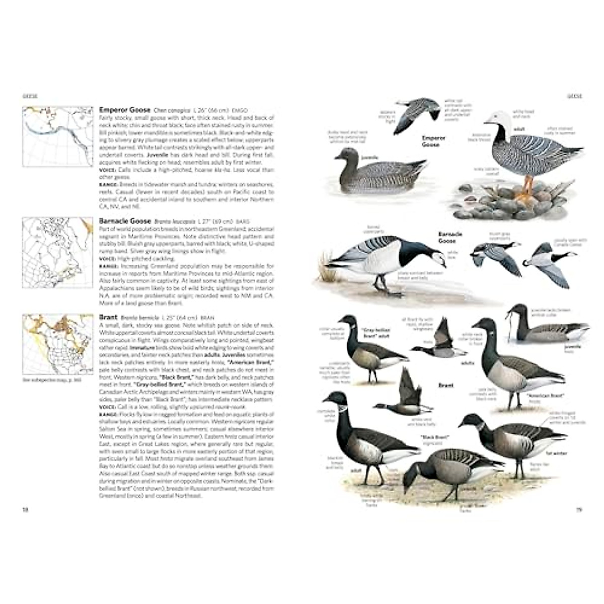 National Geographic Field Guide to the Birds of North America, 7th Edition