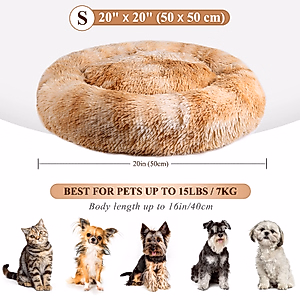 VIVAGLORY Plush Dog Bed, Fluffy Pet Bed, Self-Warming Dog Cat Calming Bed with Removable Middle mat, Suitable for Cat & Tiny Dog, Gradient-Beige