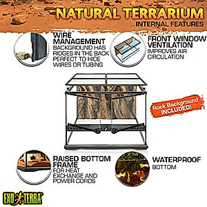 Exo Terra Short All Glass Terrarium, 18 by 18 by 12-Inch