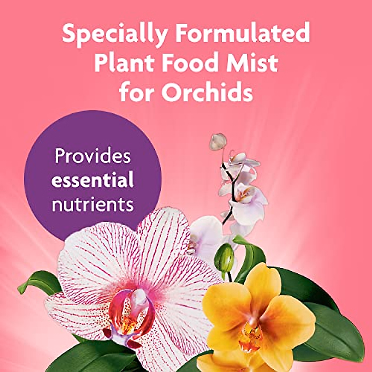 Miracle-Gro Ready-To-Use Orchid Plant Food Mist, 8 oz., Orchid Food Feeds Plants Instantly, 1 Pack