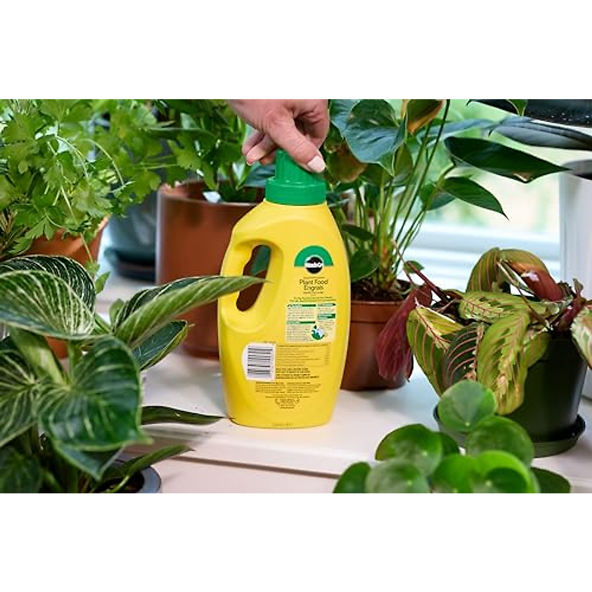 950mL 12-4-8 Liquid All Purpose Fertilizer