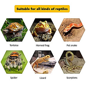 kathson Turtle Basking Platform Tortoise Dock Aquarium Landscape Decorative Climbing Ramp Shale Small Stone Ornament Rock for Frogs, Newts