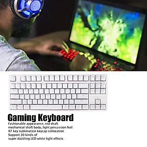 Wired Keyboard, Fashion Appearance 20 LED White Light Effects Mechanical Keyboard Ergonomic Design for Work for Home Gaming for Office(White)