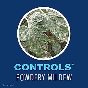 BioAdvanced Organics Brand Tomato, Vegetable & Fruit, Ready-to-Use, 24 oz