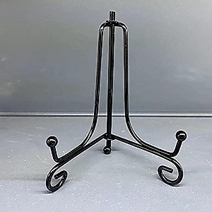 RALDMOV Natural Beautiful Ammonite Fossil Conch Specimen Collectibles Home Decor Gifts Ornament (9-11in)