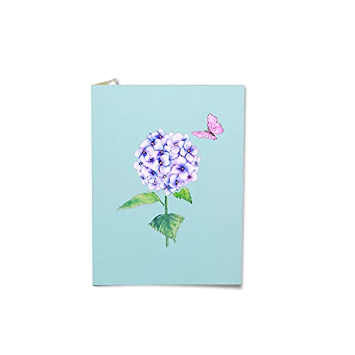 Liif Hydrangea Blossoms Butterfly 3D Greeting Pop Up Mother's Day Card, Spring, Summer, Anniversary, Fathers Day, Get Well, Thinking Of You, All Occasion, Happy Birthday Cards For Mom, Women, Her | With Message Note & Envelop | Large Size 8 x 6 Inch