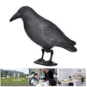 01 Simulation Crow Desktop Decor, Simulation Crow Long Service Time Durable for Halloween for Garden Decoration for Hunting Bait(Black)