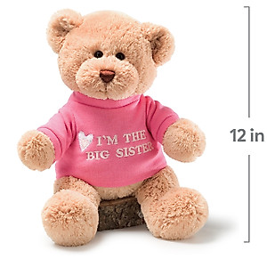 GUND “I’m The Big Sister” Message Bear with Pink T-Shirt, Teddy Bear Stuffed Animal for Ages 1 and Up, Brown, 12”