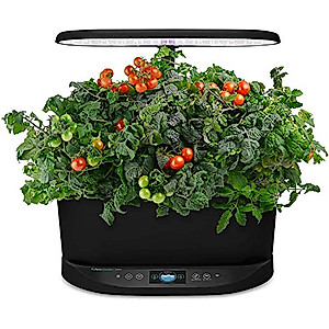 AeroGarden Bounty - Indoor Garden with LED Grow Light, WiFi and Alexa Compatible, Black & Heirloom Salad Greens Seed Pod Kit (9-pod)