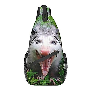 Possum Hissing Chest Bag Shoulder Bag, Animal Sling Backpack Casual Travel Bag For Men And Women