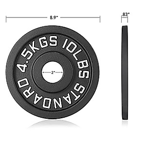 Philosophy Gym Standard Cast Iron Olympic 2-inch Weight Plate, 10 LB, Single Weight Plate