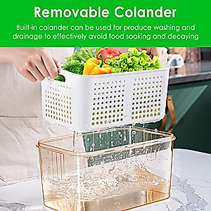 Vegetable Fruit Storage Containers for Fridge Organizer with Lid & Colander 3 Pack BPA-Free Produce Saver Containers for Lettuce Berry Stay Fresh,Lettuce Keeper for Fridge Organizers and Storage Clear