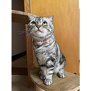 Cat Collar Breakaway with Bowtie Bell, Pink Bling Kitten Collar with Removable Cat Bow Tie Collar for Kitty Cat (7.4-10.8 inch)