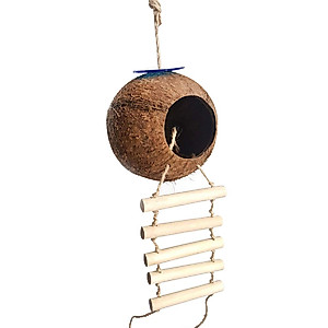 Bluelanss Bird House with Ladder - Beautiful Nesting Home and Bird Feeder - Natural Textures Encourage Foot and Beak Exercise - Natural Coconut Husk - Sustainable Materials - Durable Habitat C