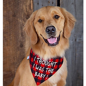 Family Kitchen I Thought I was The Baby Pregnancy Announcement Triangle Red Plaid Pet Dog Bandana, Gender Reveal Photo Prop Pet Scarf for Pet Birthday Gift