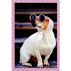 Audrey Hepburn Dog with Pink Glasses in Focus Feminine Birthday Card for Her/Woman