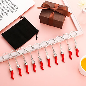 Remuuly 10 Pcs Italian Horn Keychain Italian Red Horn Charm Chili Pepper Keychain Souvenir for Car Mirror Accessories(Silver)