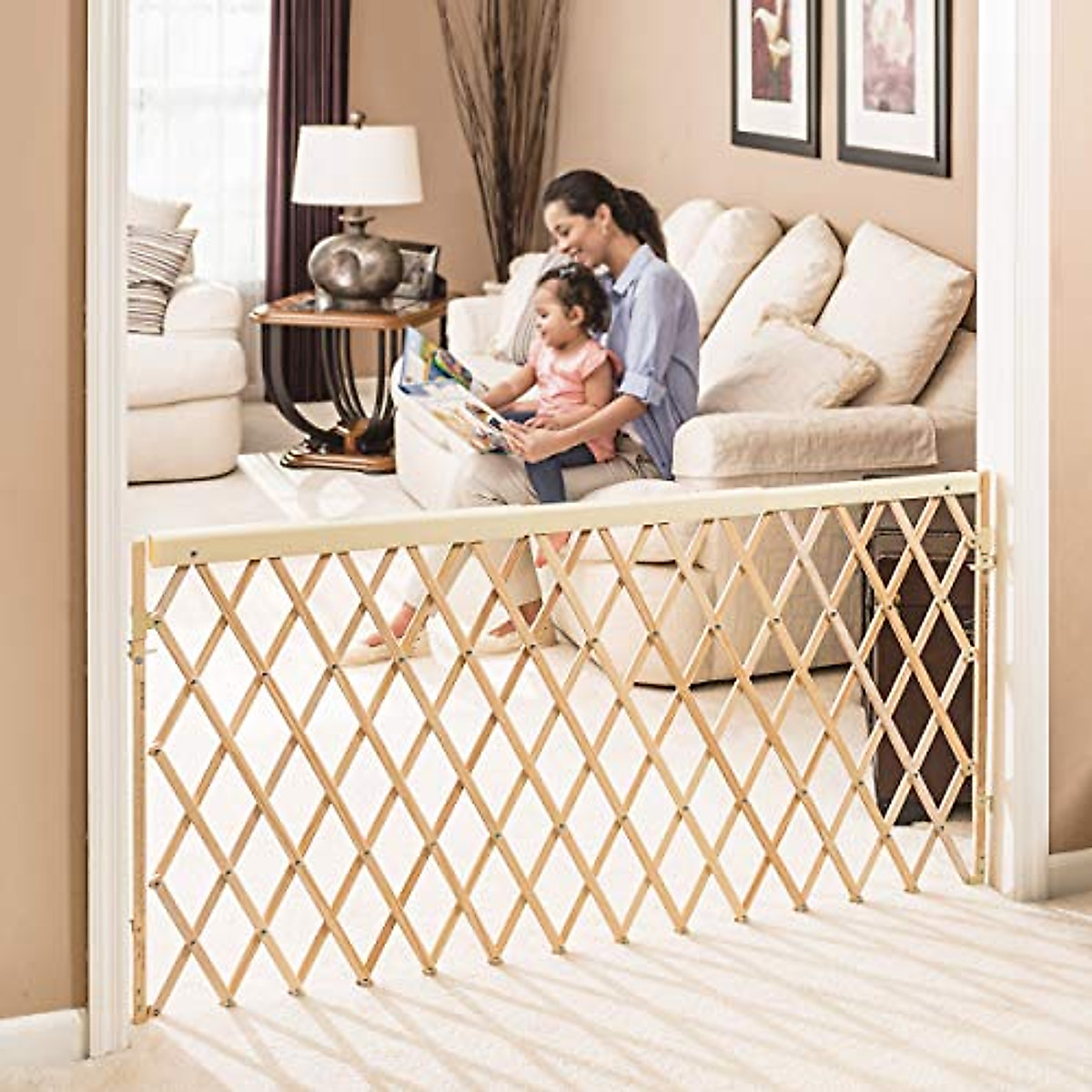 Evenflo Expansion Walk Thru Room Divider Gate