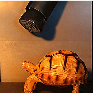 KIMROO 75W Mini Reptile Heat Lamp Bulb(2 Pack) E26/E27 Base,AC110V,Pet Infrared Ceramic Heat Emitter, or Reptile Like Lizard,Tortoise,Brooder Coop, Aquarium,Snake,No Light,Black (75W)