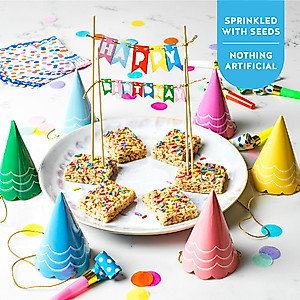 Blake’s Seed Based Crispy Treats – Variety Pack (24 Count), Vegan, Gluten Free, Nut Free & Dairy Free, Healthy Snacks for Kids or Adults, School Safe, Low Calorie Organic Soy Free Snack