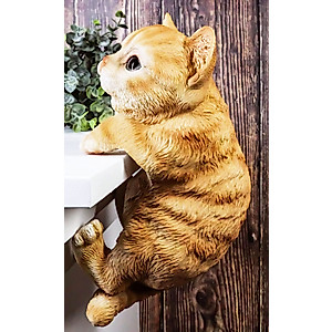 Ebros Lifelike Pot Pal Hanging Orange Tabby Cat Statue 8" Tall with Glass Eyes Hand Painted Realistic Feline Cat Decor Figurine Cats Kittens Kitties Animal Pet Sculpture Garden Patio Decorative