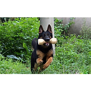 Kuntrona Safe Non-Toxic Wooden Dog Training Dumbbell Pet Bite Toys for Dogs Outdoor Interactive Supplies S M Burlywood 15X4.8CM