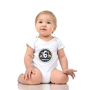 Friendly Animals Baby Monthly Stickers. 12 Large, Adorable Style Animal and Nature Designs for The First 12 Months. Ideal as a Gift for Baby Shower