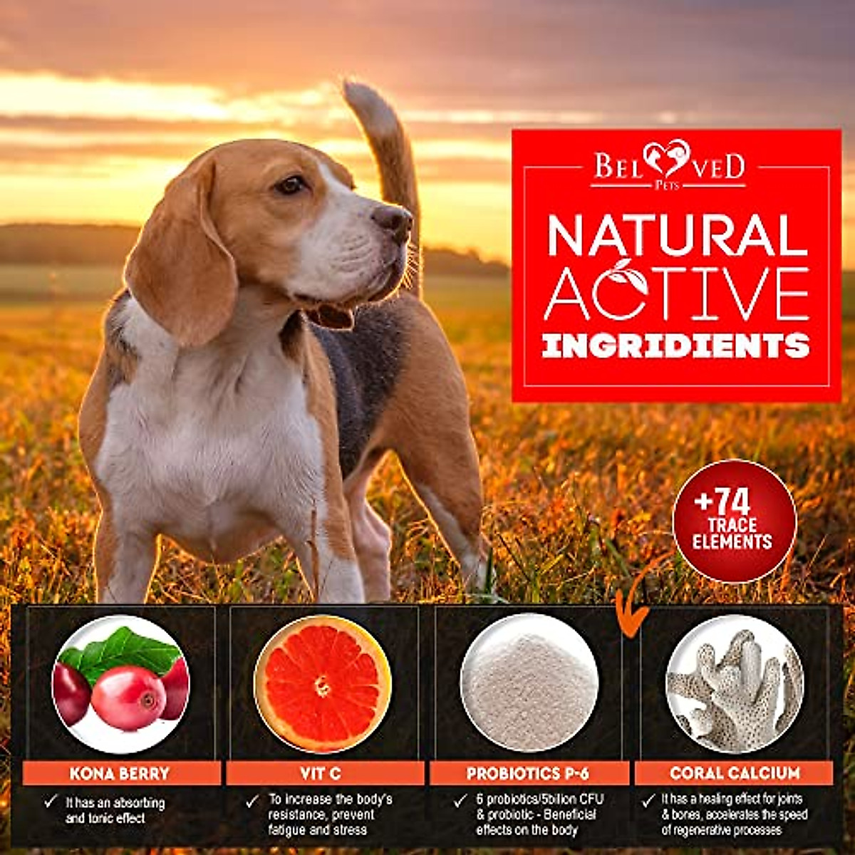 Dog Anti Itch & Allergy Relief Chews - Dry Itchy Skin & Hot Spot Treatment with Probiotic, Omega 3 Oil, Hemp - Immune Supplement & Seasonal Allergies Medicine for Dogs, Puppy - 140 Bites Made in USA