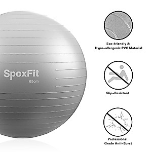 SpoxFit Ball Chair Yoga Ball Set, 65 cm Exercise Ball Chair with Base for Home Office, Stability Balance Ball with Resistance Bands Workout Poster, Home Gym Ball Anti Burst, Silver