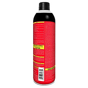 BOP Ant & Roach Killer, 17 oz, Easy to Use Pest Control Spray, Kills Bugs On Contact and Keeps Your Home Insect Free, Indoor/Outdoor Use for Quick Results